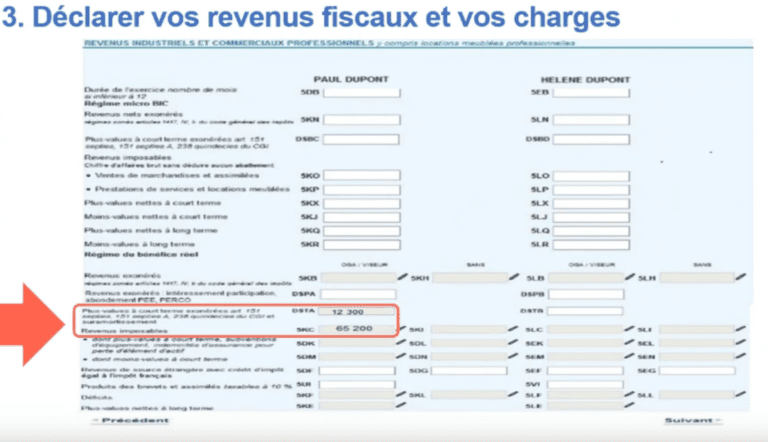 Déclaration Revenus Travailleur Indépendant